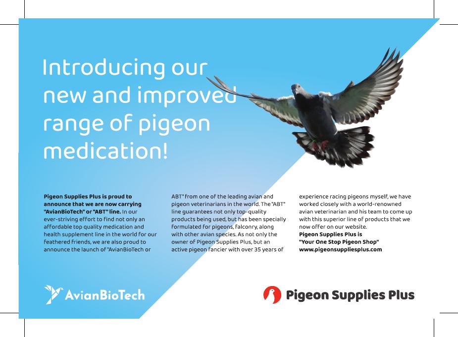 AvianBioTech (ABT) for Pigeon & Avian use only – Pigeon Supplies Plus